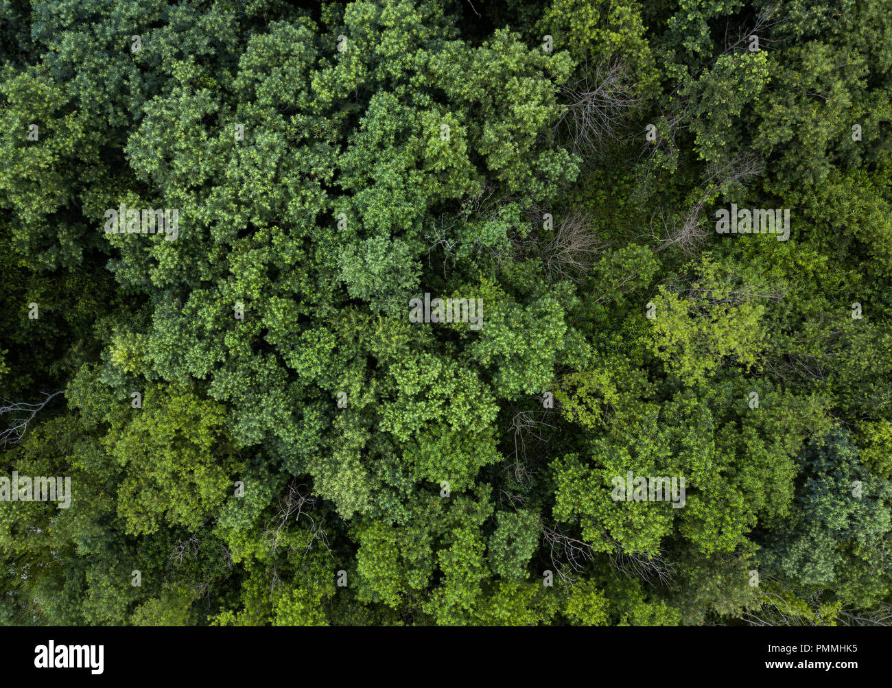 Aerial phograph hi-res stock photography and images - Alamy