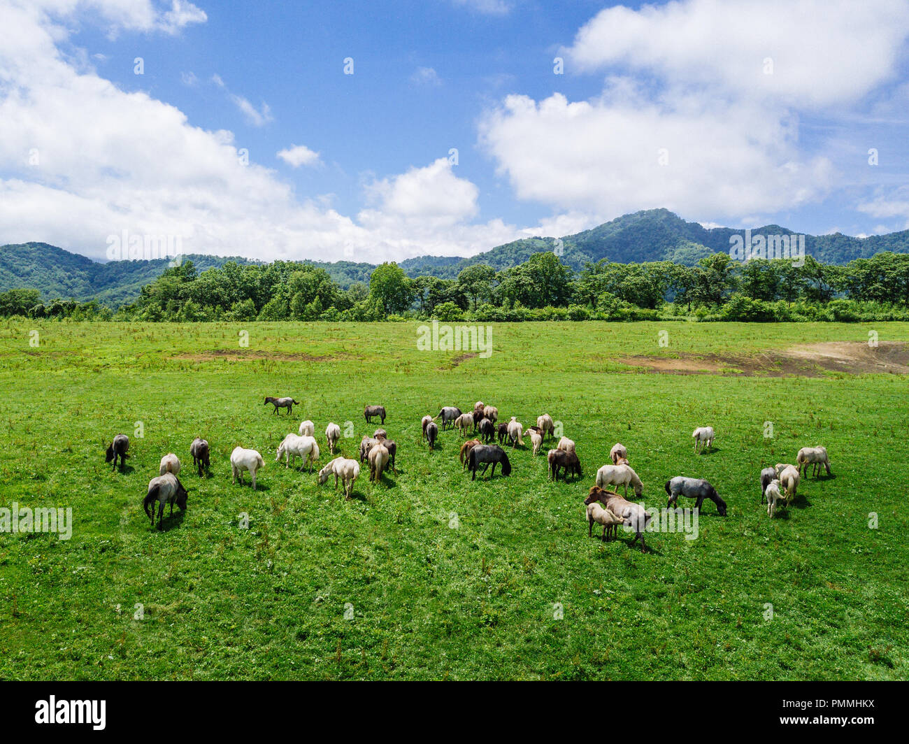 Drone phography hi-res stock photography and images - Alamy