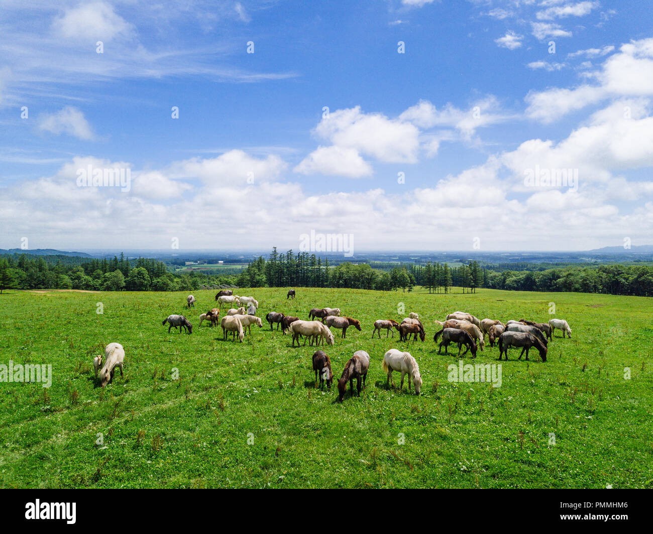 Drone phography hi-res stock photography and images - Alamy