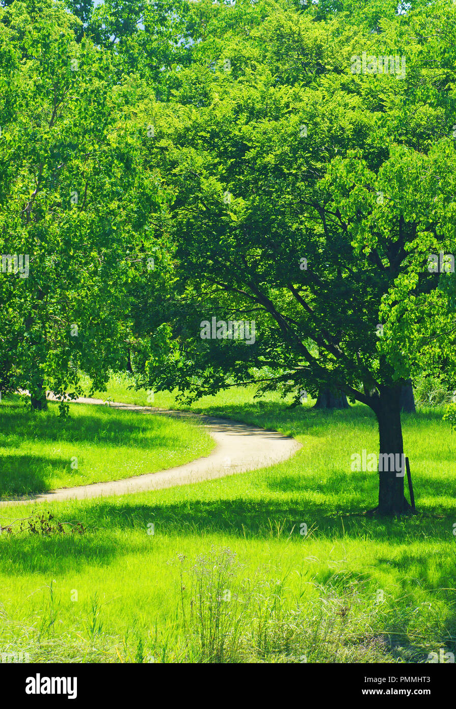 Suizenji Ezuko Park, Kumamo Prefecture, Japan Stock Photo - Alamy