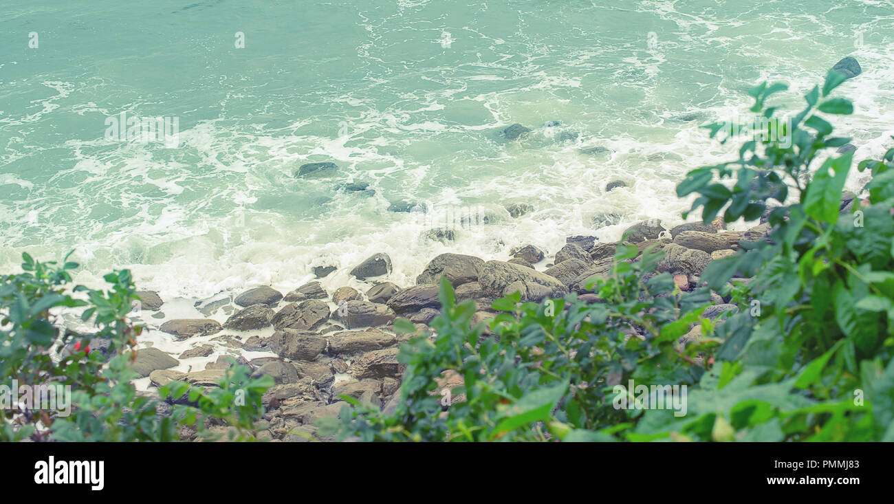 Banner sea shore rocky beach sea pebble waves foam bushes rose hip ...