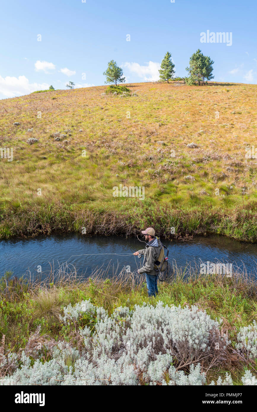 A fly fisherman plies the wild rivers of Nyanga National Park in ...