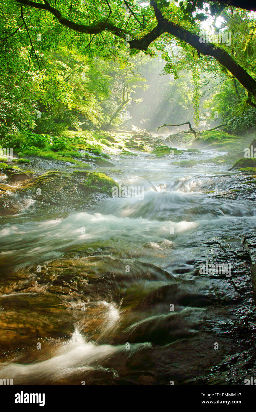 Kikuchi Gorge, Kumamo Prefecture, Japan Stock Photo - Alamy