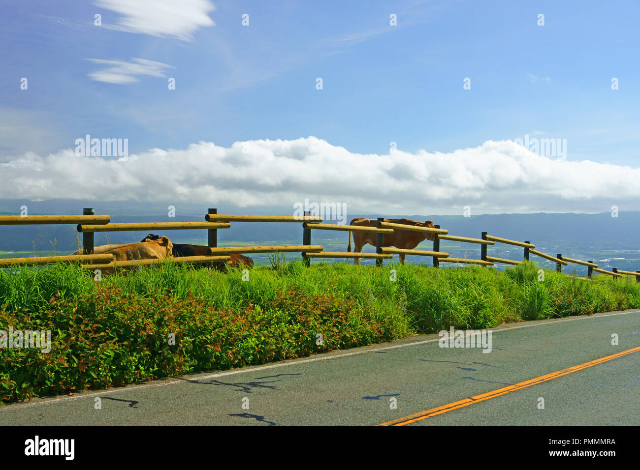 Aso panorama line hi-res stock photography and images - Alamy