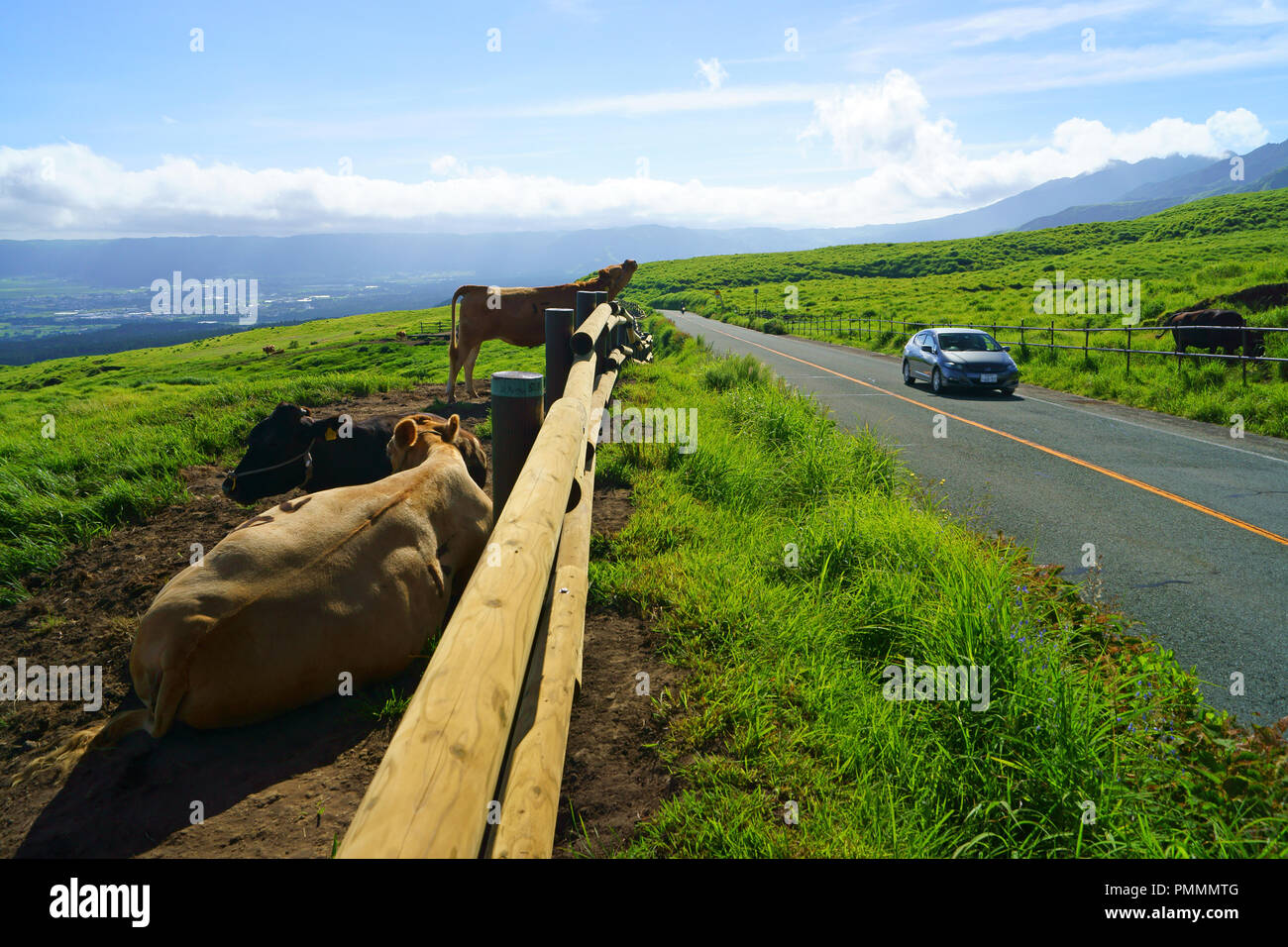 Aso Panorama line, Kumamo Prefecture, Japan Stock Photo - Alamy
