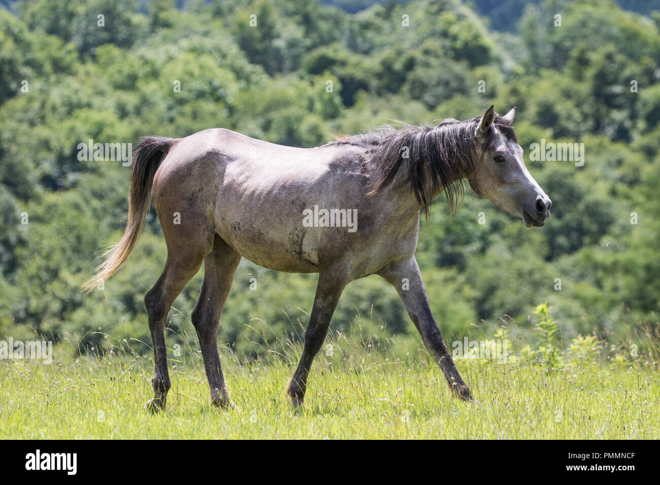 Hokkaido production hi-res stock photography and images - Alamy