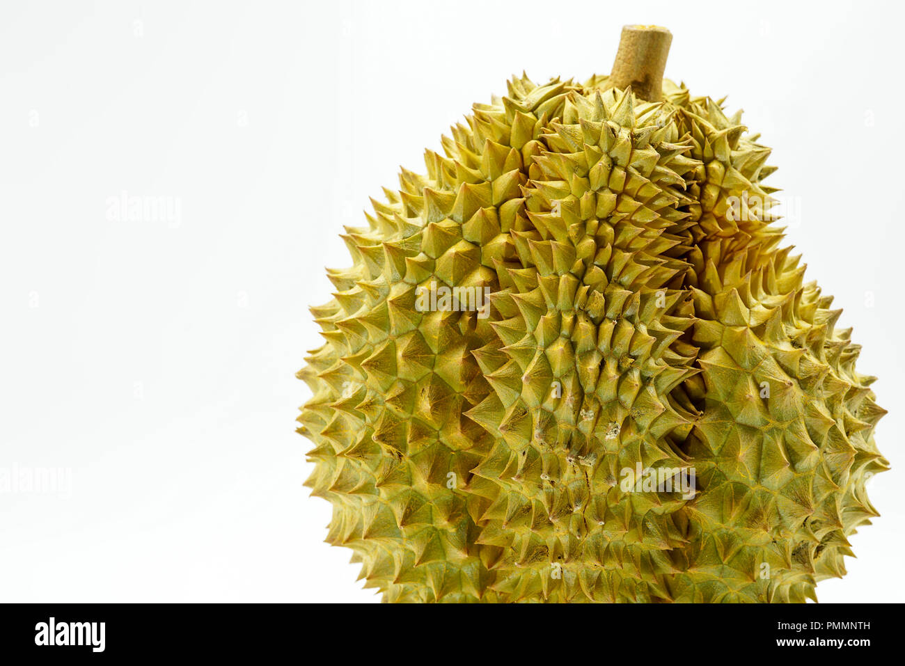 Fresh Cut Monthong Durian on white background,closeup view of Durian ...