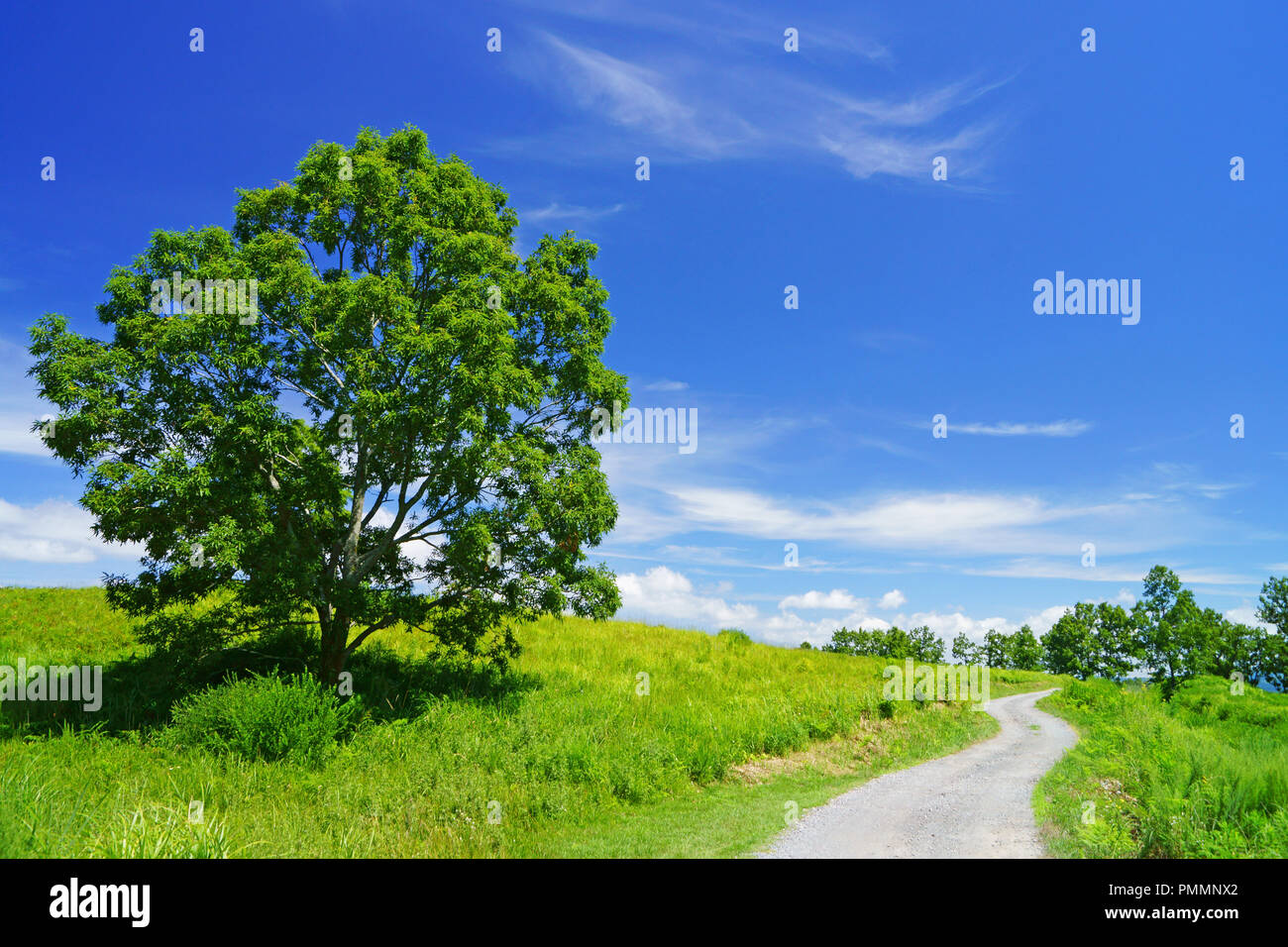 Field and Road Stock Photo - Alamy