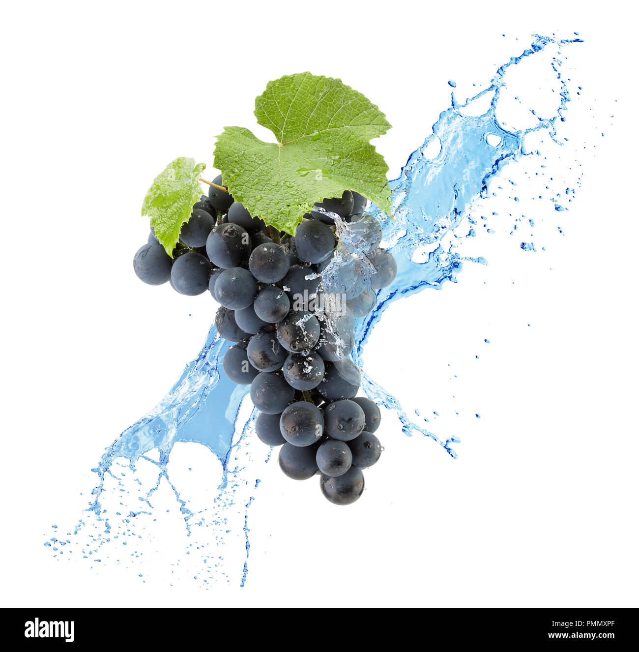 purple grapes in water splas isolated on a white background Stock Photo ...
