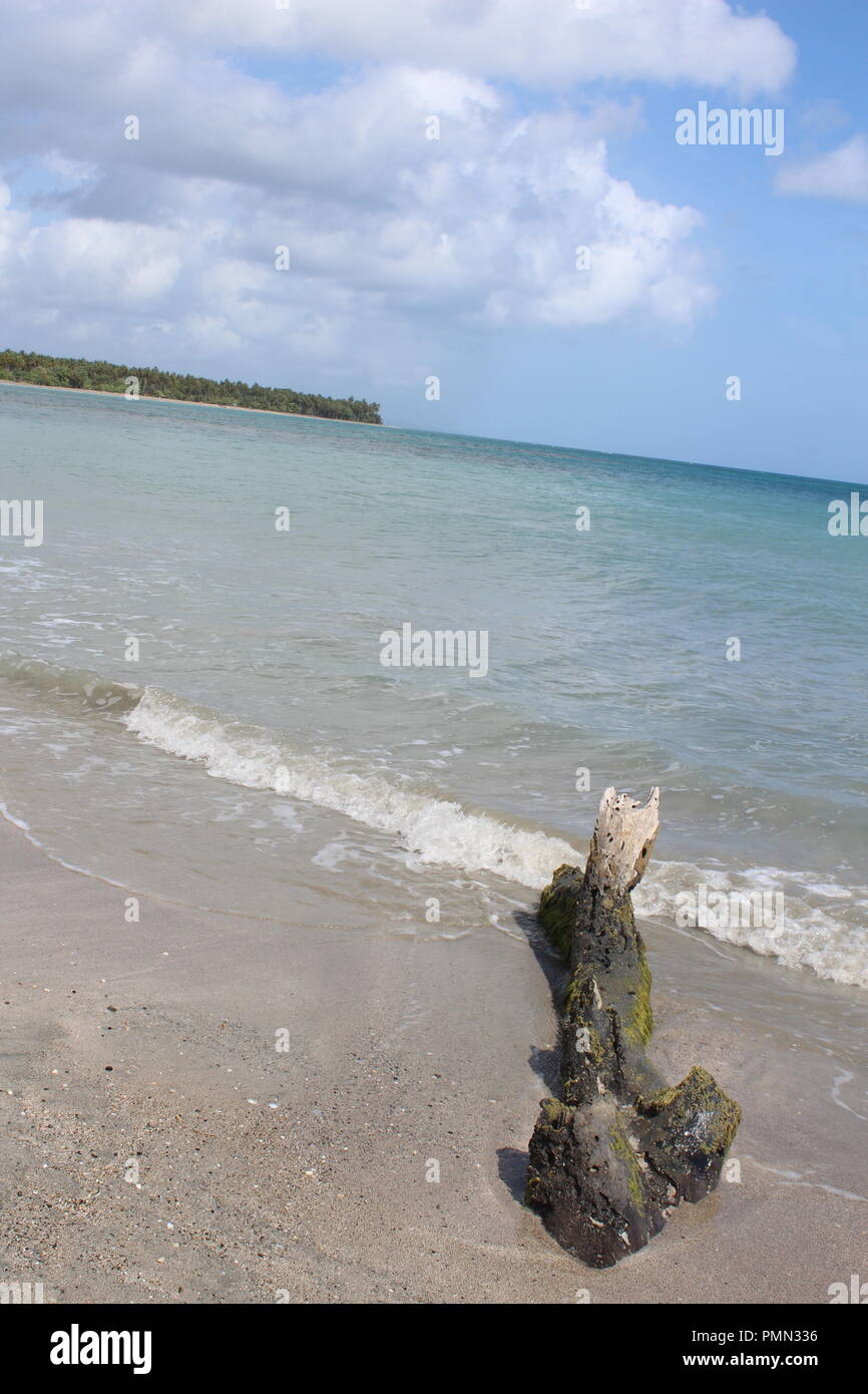 Driftwood log in the sand on the beach Stock Photo - Alamy