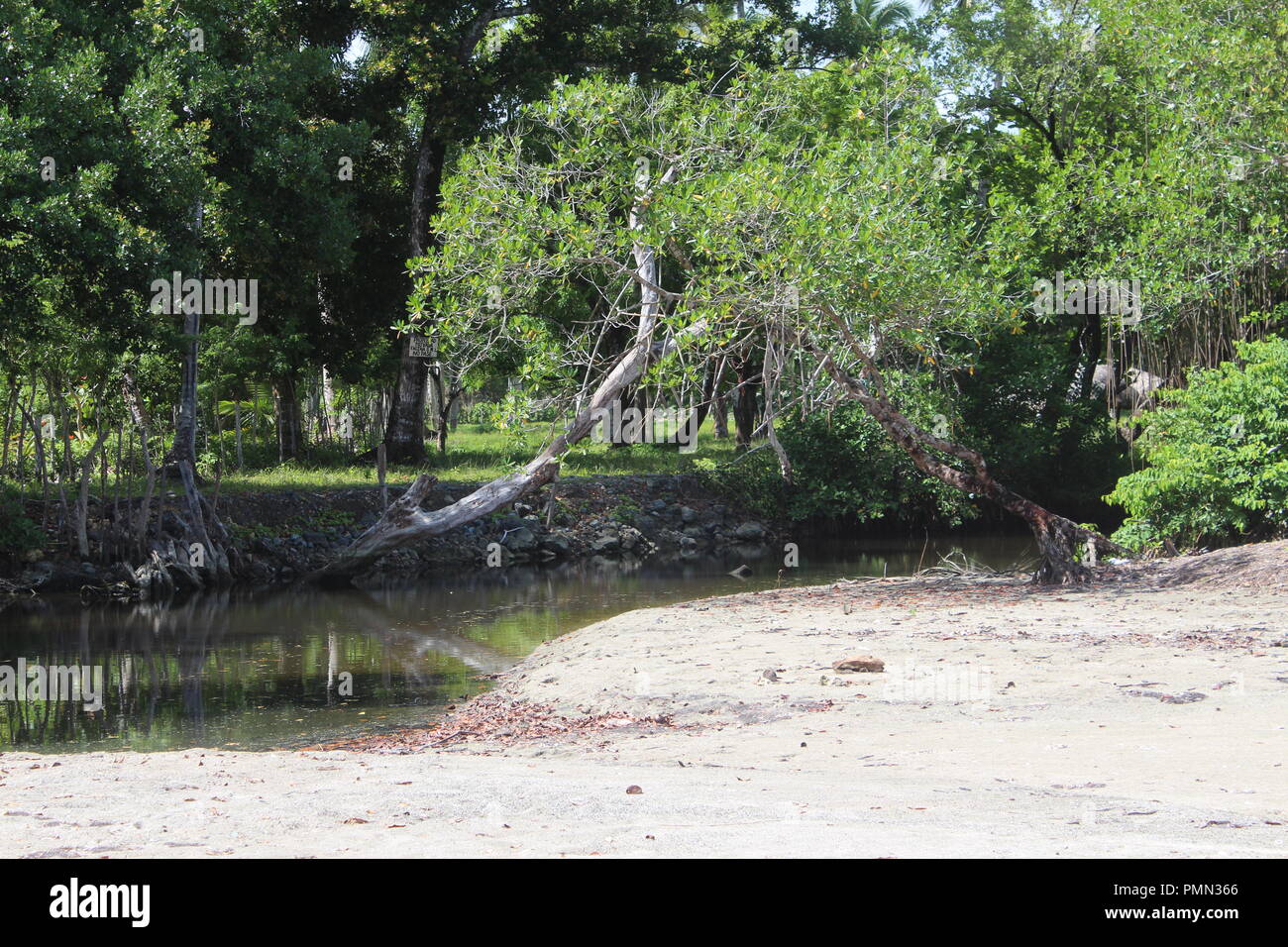 River meandering to the beach on a tropical island Stock Photo - Alamy