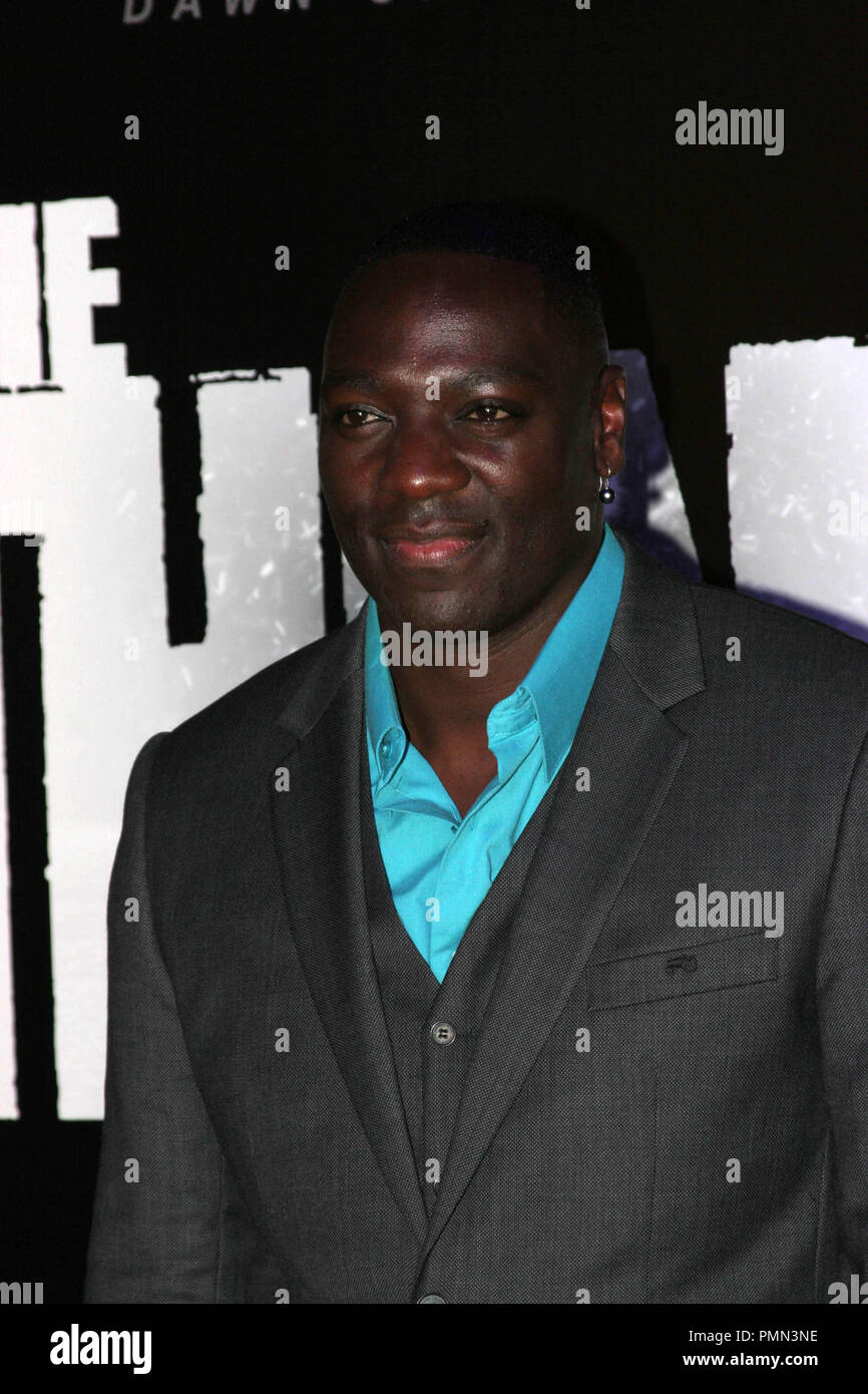 Adewale Akinnuoye-Agbaje at the world premiere of Universal Pictures ...