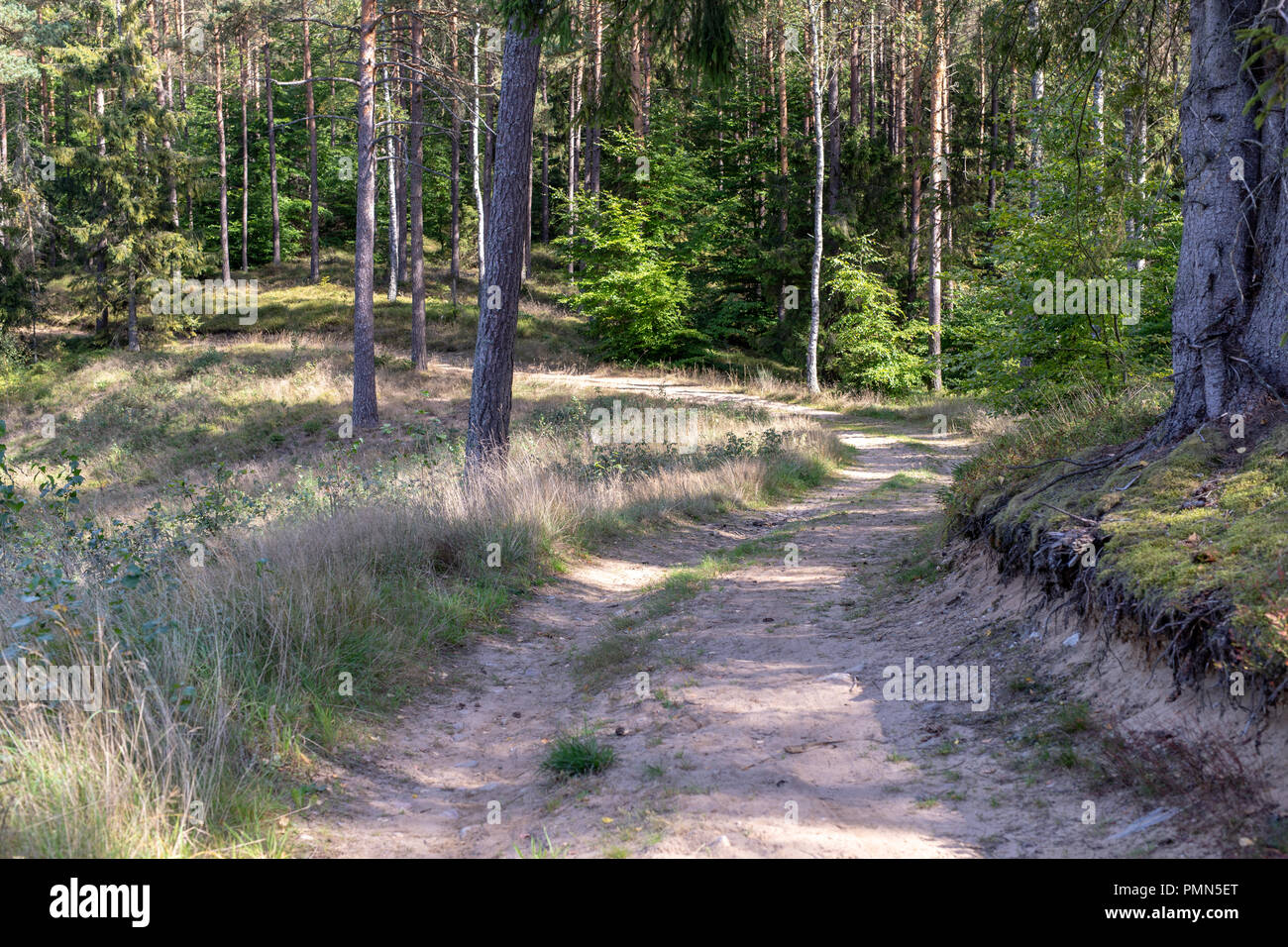 A Sandy Trail Country Roads Trail Photography