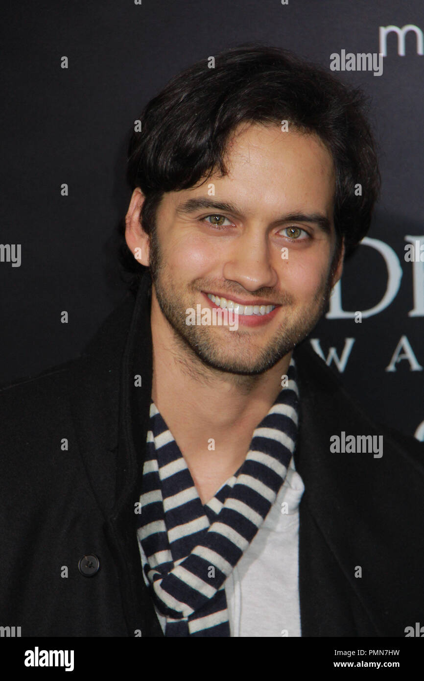 Michael Steger 01/19/2012 "Underworld Awakening" Premiere held at ...