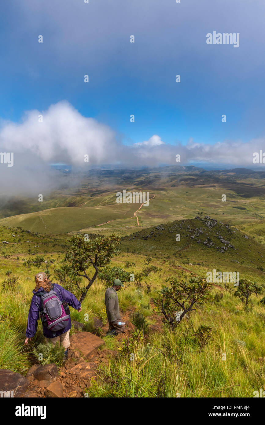 Views of Mt Inyangani, Zimbabwe's highest point, Nyanga national park ...