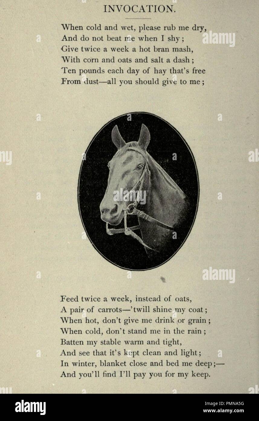 Biggle hi-res stock photography and images - Alamy