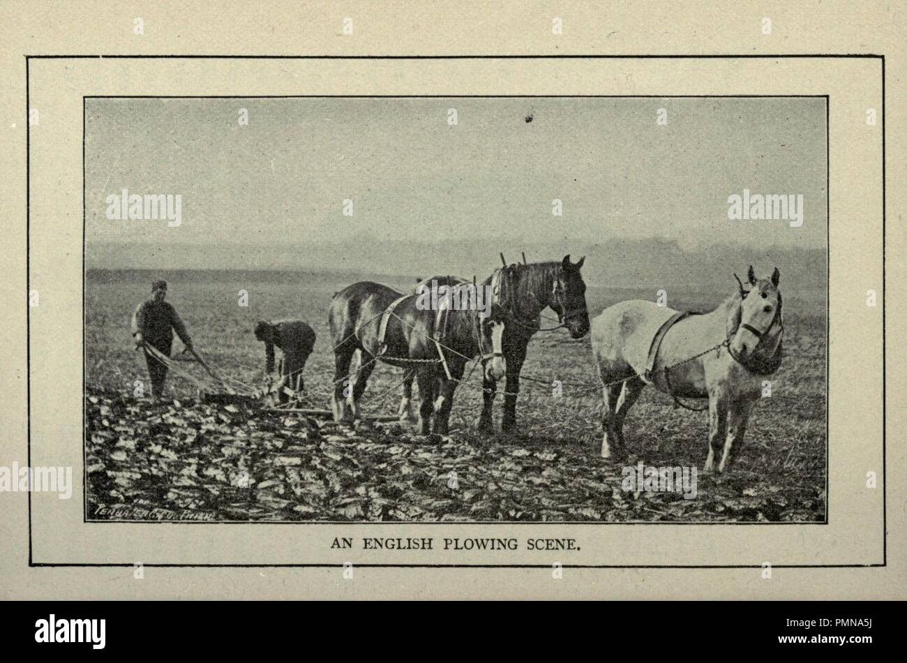 Biggle hi-res stock photography and images - Alamy