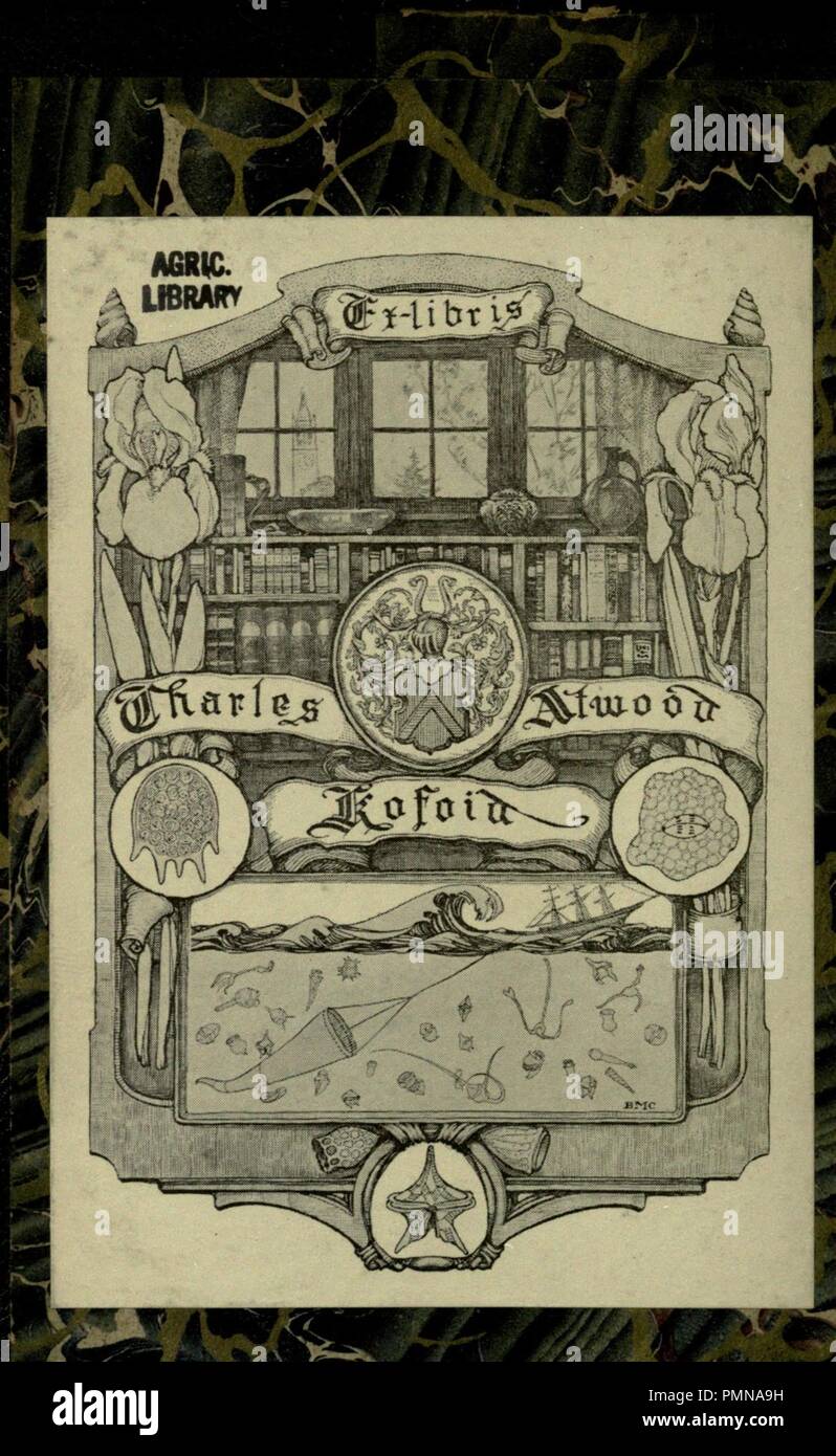 Biggle hi-res stock photography and images - Alamy