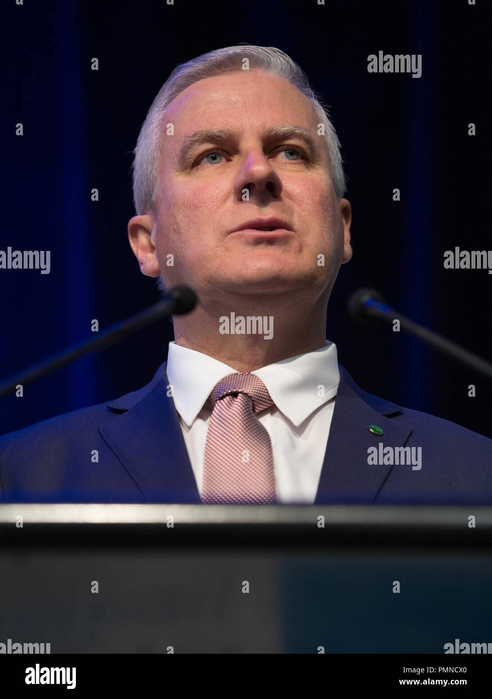 Deputy minister of industry hi-res stock photography and images - Alamy