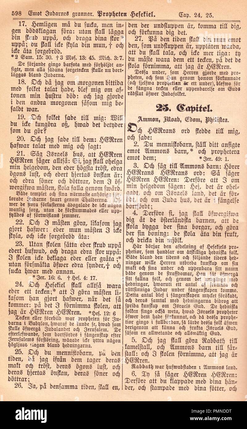 Biblia Fjellstedt II (1890) 602 Stock Photo - Alamy