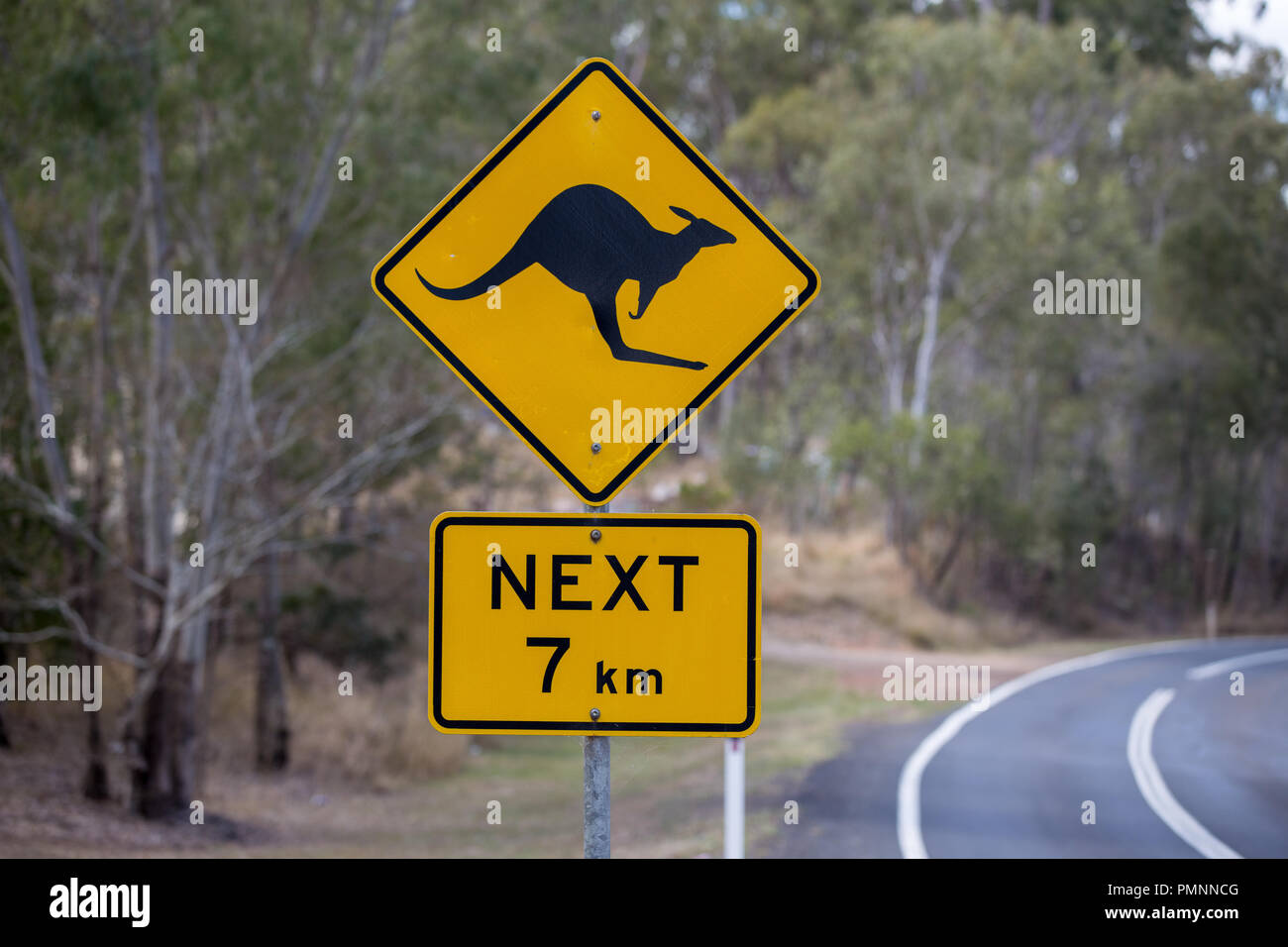 Australian kangaroo road signs hi-res stock photography and images - Alamy