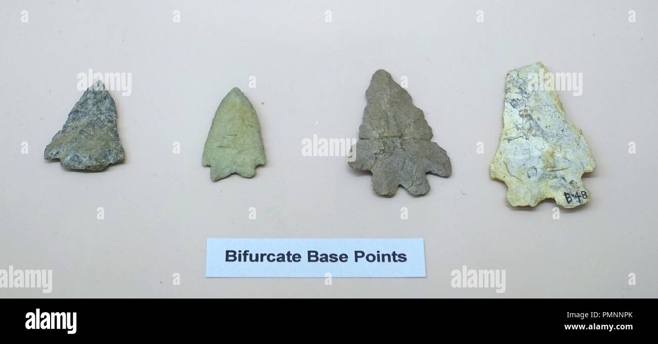 Bifurcate base points - Early Archaic collection Stock Photo - Alamy