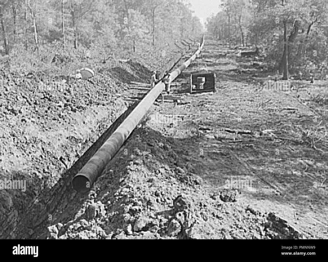 Big Inch pipeline running through wooded land Stock Photo - Alamy