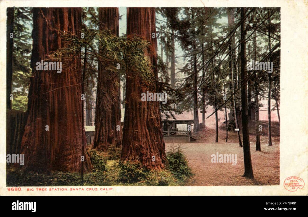 Big Tree Station Stock Photo - Alamy