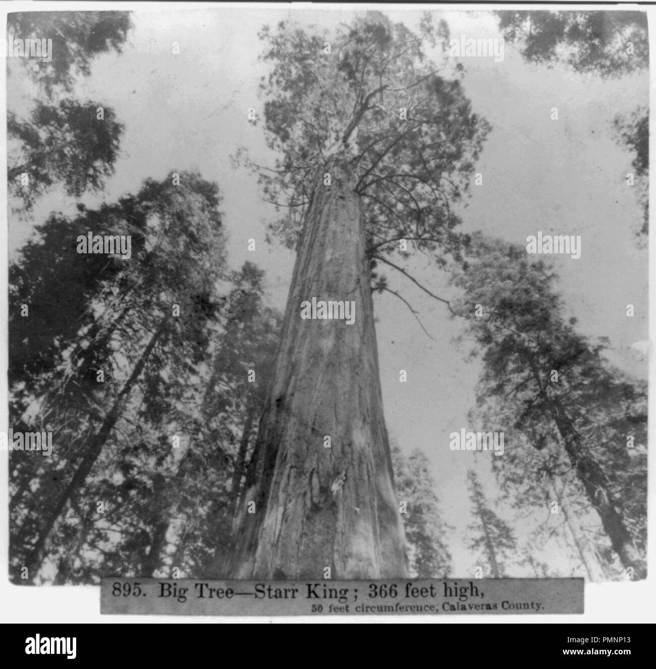 50 feet high Black and White Stock Photos & Images - Alamy