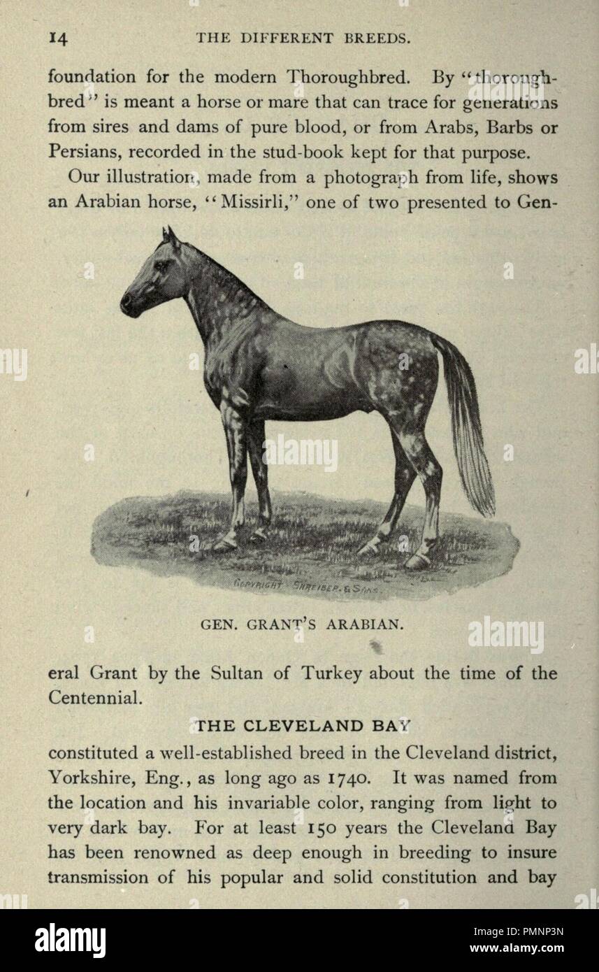 Biggle hi-res stock photography and images - Alamy