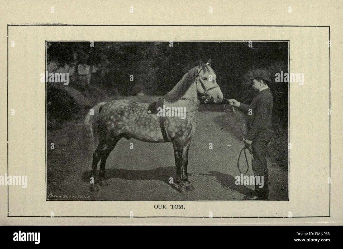 Biggle hi-res stock photography and images - Alamy