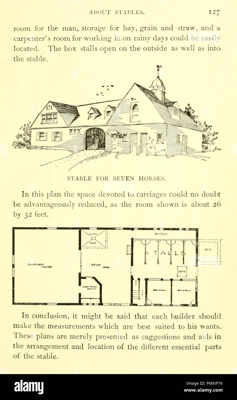 Biggle hi-res stock photography and images - Alamy