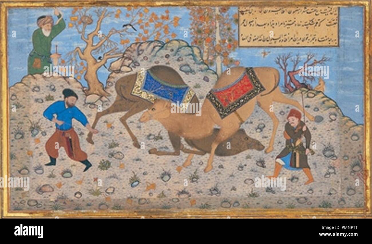 Bihzad Two camels fighting colors Stock Photo - Alamy