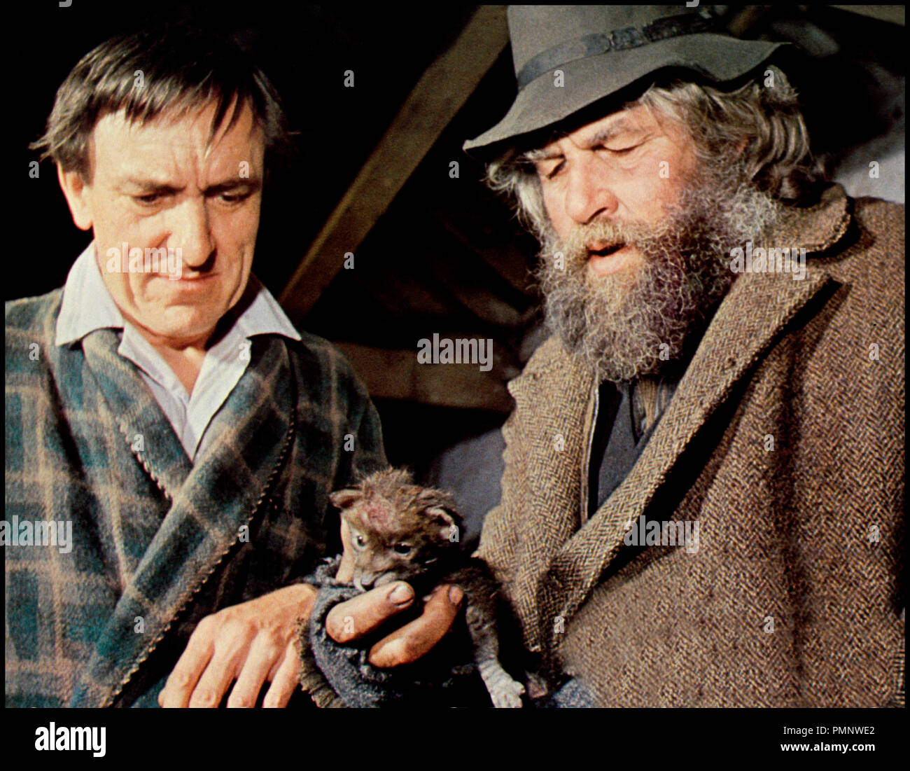 Bill Travers Stock Photos & Bill Travers Stock Images - Alamy