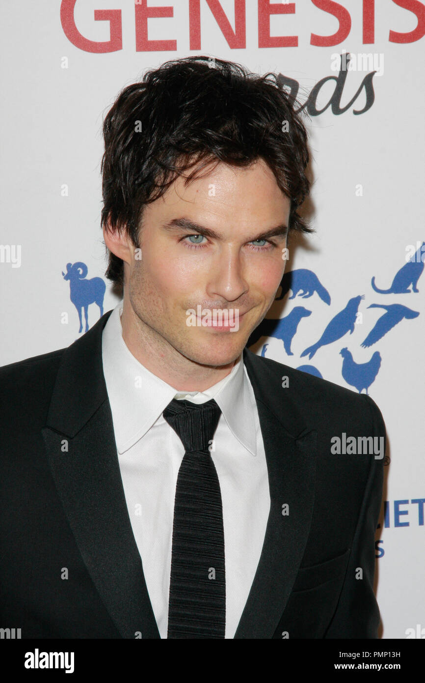 Ian somerhalder red carpet event hi-res stock photography and images ...