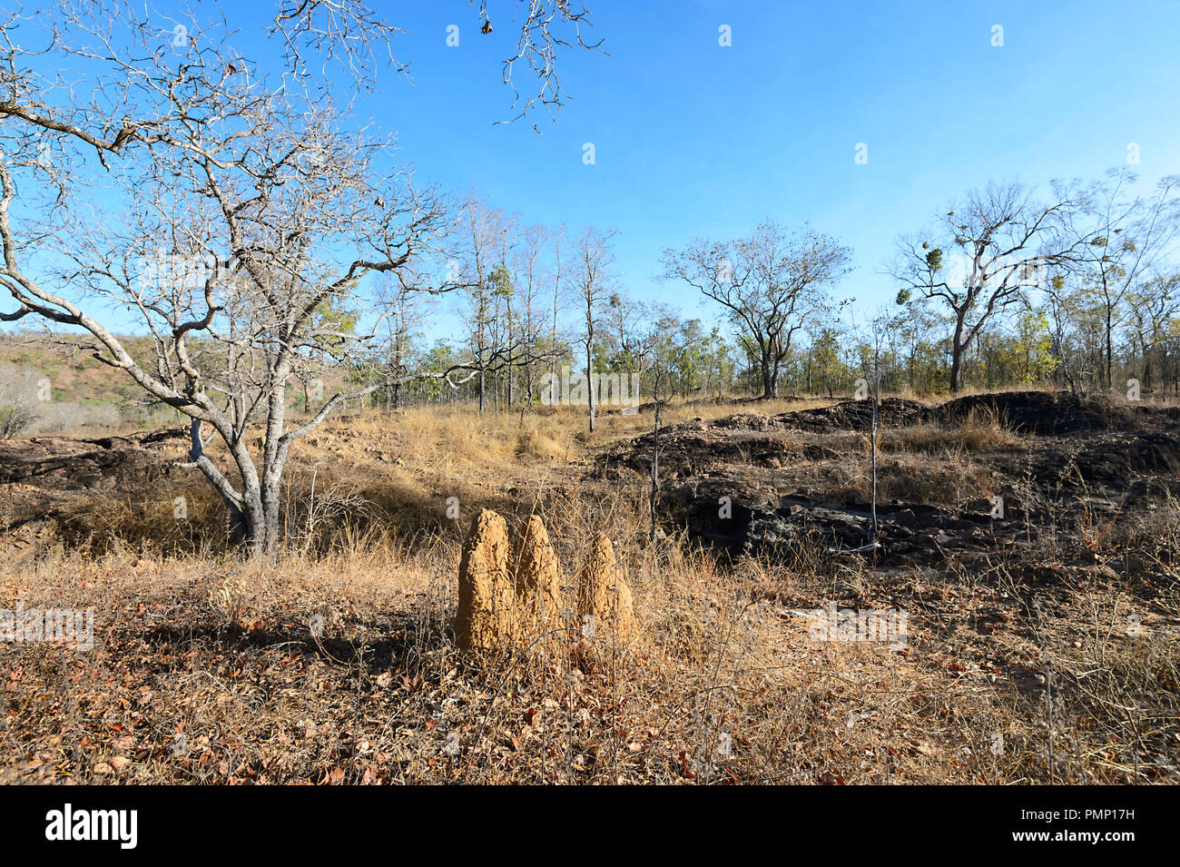 Termite mound outback australia hi-res stock photography and images - Alamy