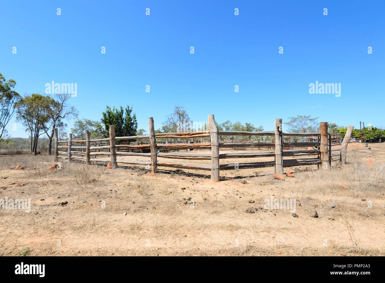 View of a fenced cattle yard at Emu Creek cattle station, near Petford ...