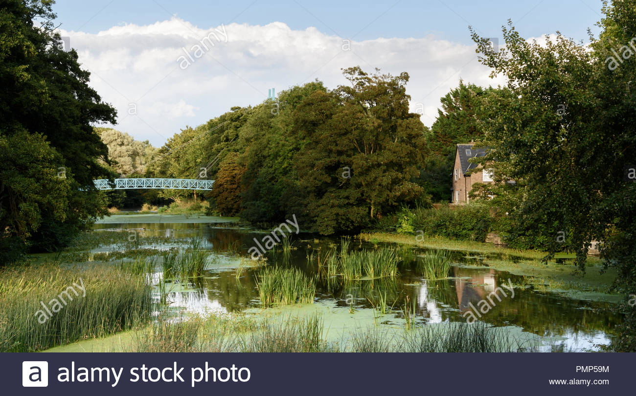 Blandford Forum Dorset Stock Photos & Blandford Forum Dorset Stock ...