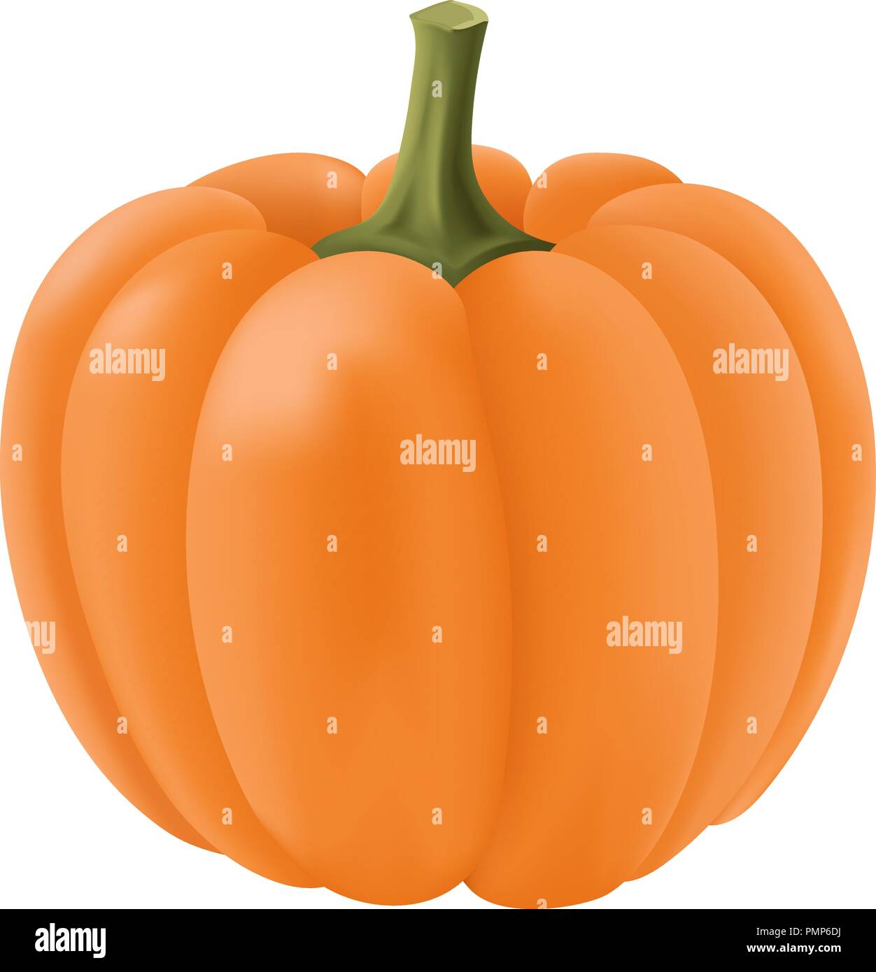 Fresh ripe orange pumpkin Stock Vector Images - Alamy