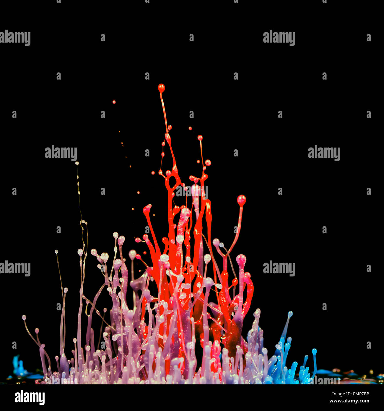 Explosion of splashes and bursts of color fluid paint ink on black ...