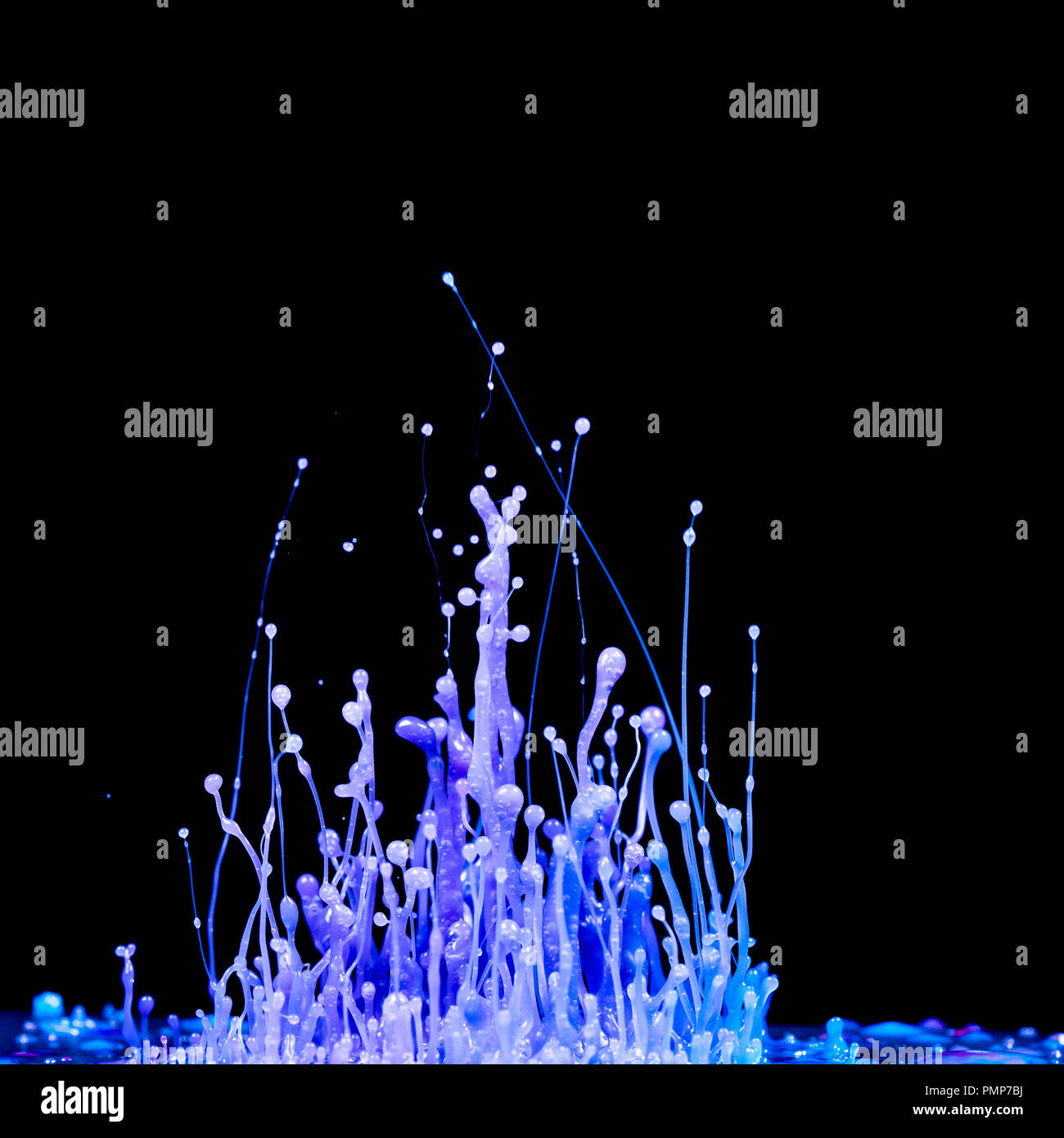 splash of color fluid ink on black background. abstract sculptures of ...