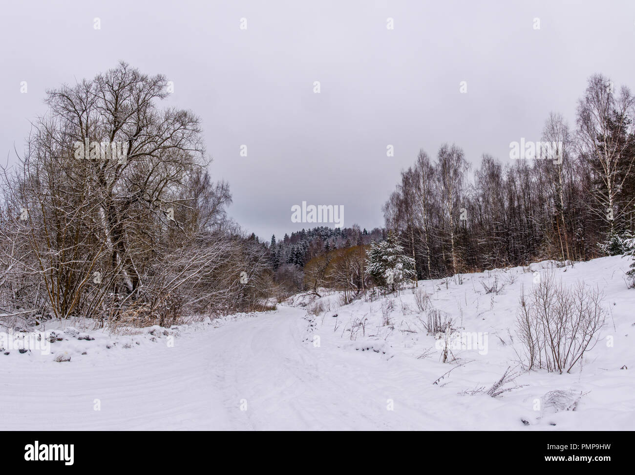Going down forest road hi-res stock photography and images - Alamy