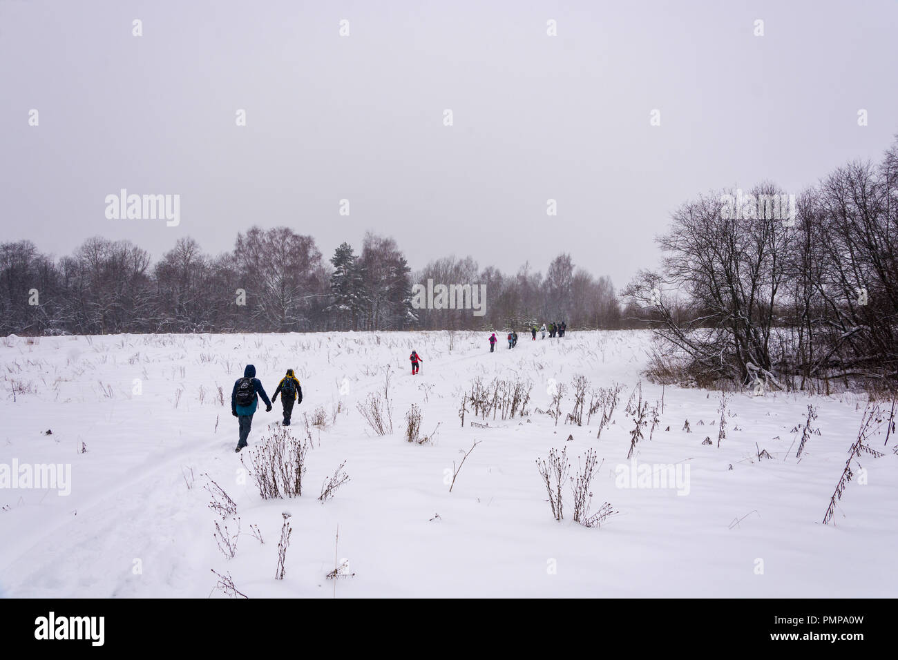 Cloudy Winter Day