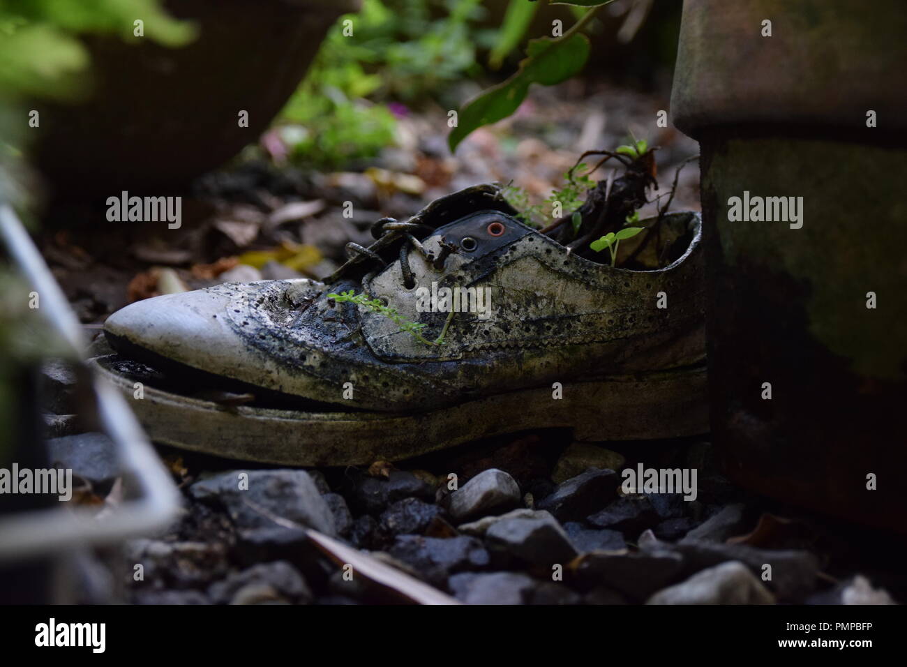 Worn out shoe hi-res stock photography and images - Alamy