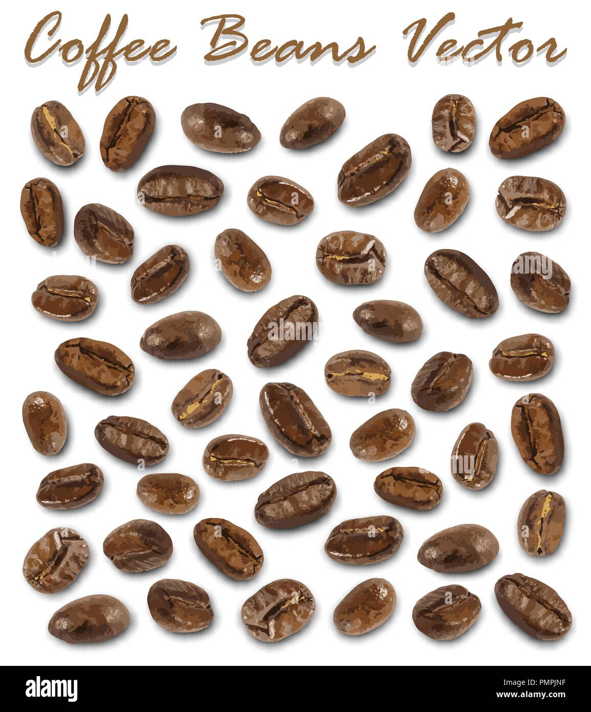 Set of roasted coffee beans elements vector and shadow on white ...