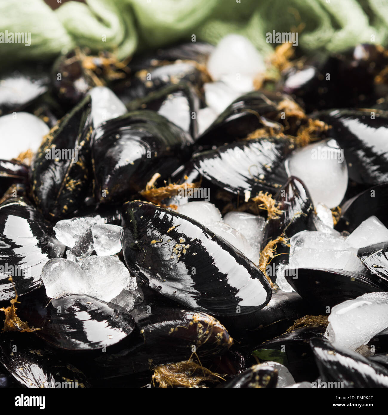 Fresh raw mussels on rusty tray. Seafood concept Stock Photo - Alamy