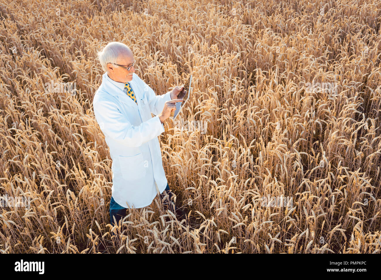 Researcher field crop hi-res stock photography and images - Alamy