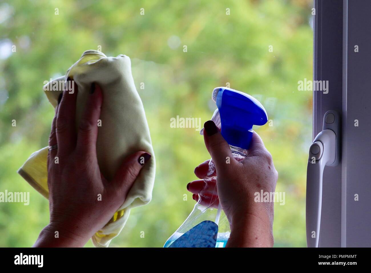 Lady cleaning windows hi-res stock photography and images - Alamy