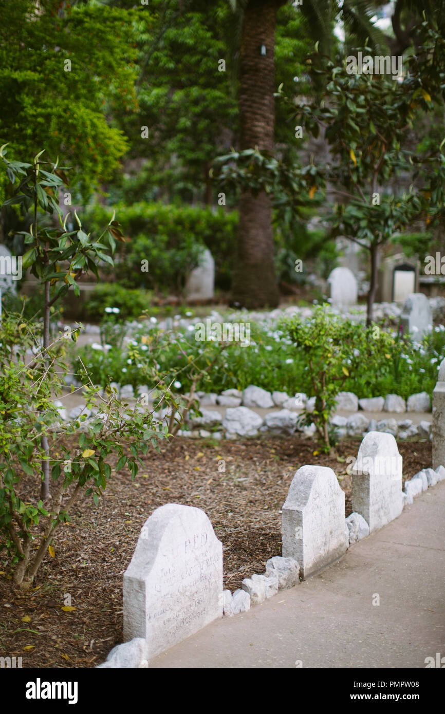 Gravestones in trafalgar cemetery in gibraltar hi-res stock photography ...