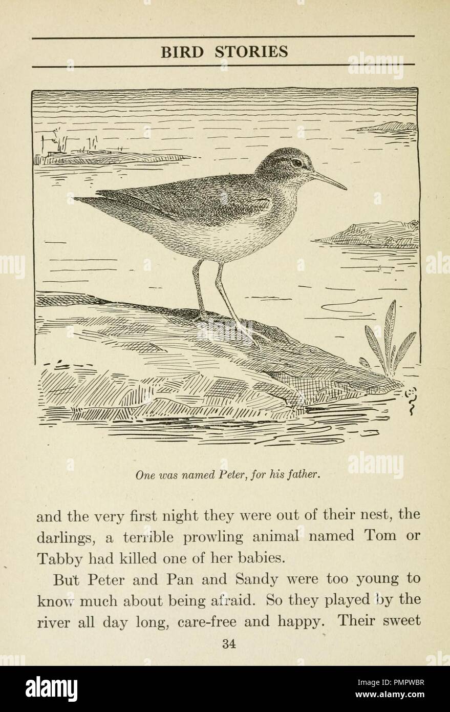 34 stories hi-res stock photography and images - Alamy